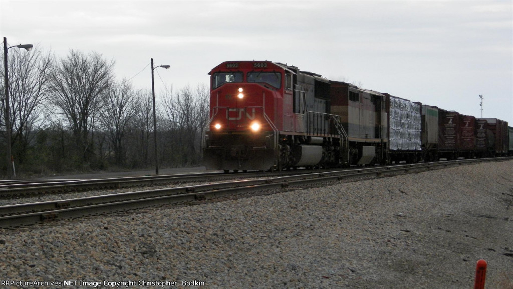 CN 5603